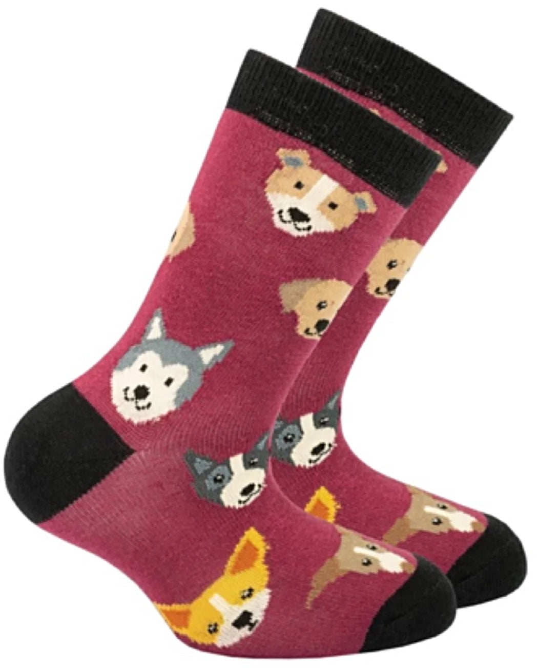 Socks N Socks