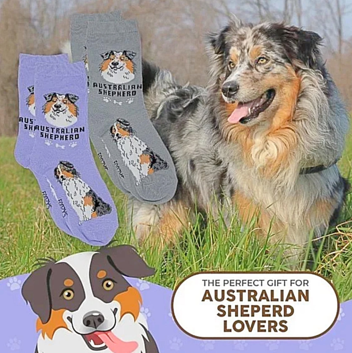 FOOZYS BRAND Ladies 2 Pair Of AUSTRALIAN SHEPHERD Socks | Novelty Socks ...