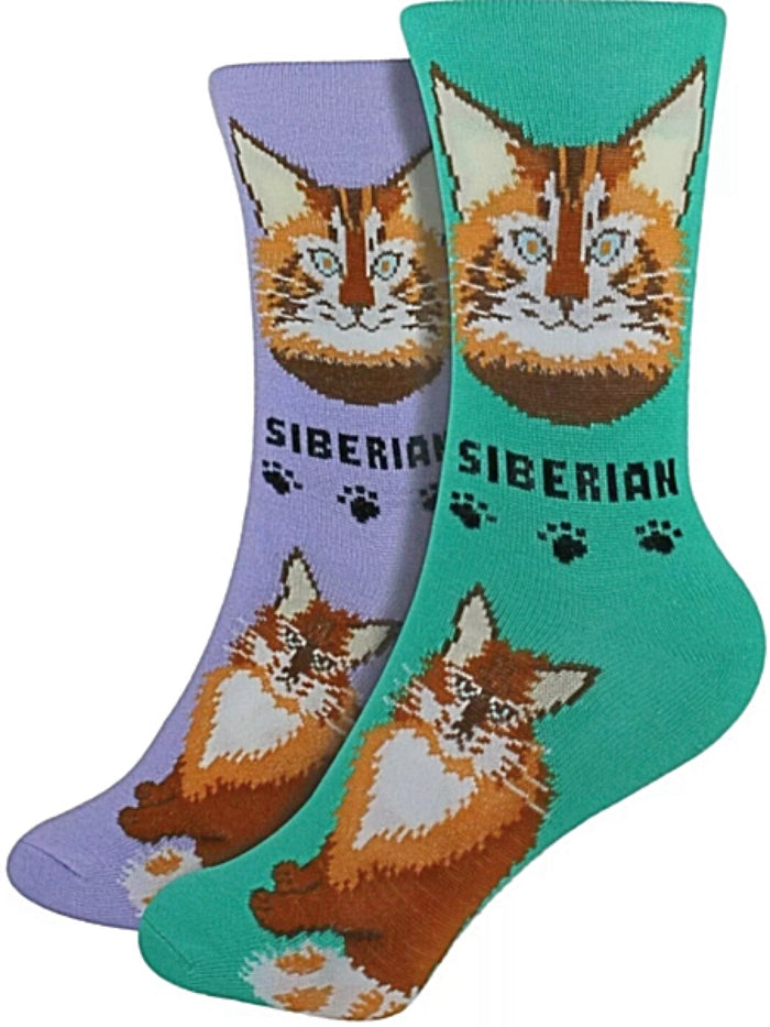 Cats | Novelty Socks And Slippers