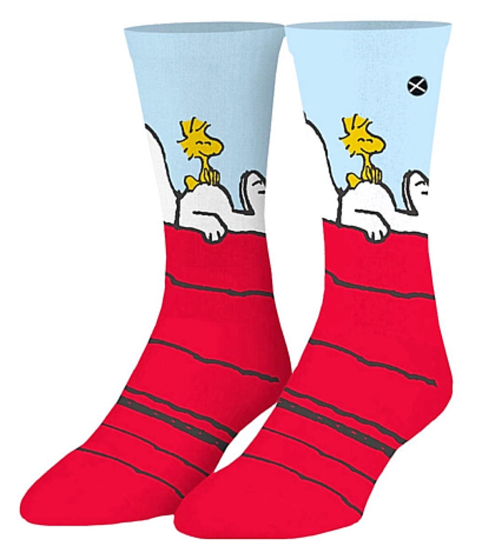 ODD SOX | Novelty Socks And Slippers